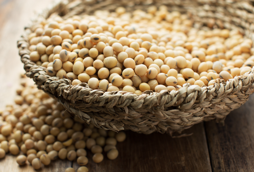 Is Soy Good or Bad for You? - The Healthy Happy Woman